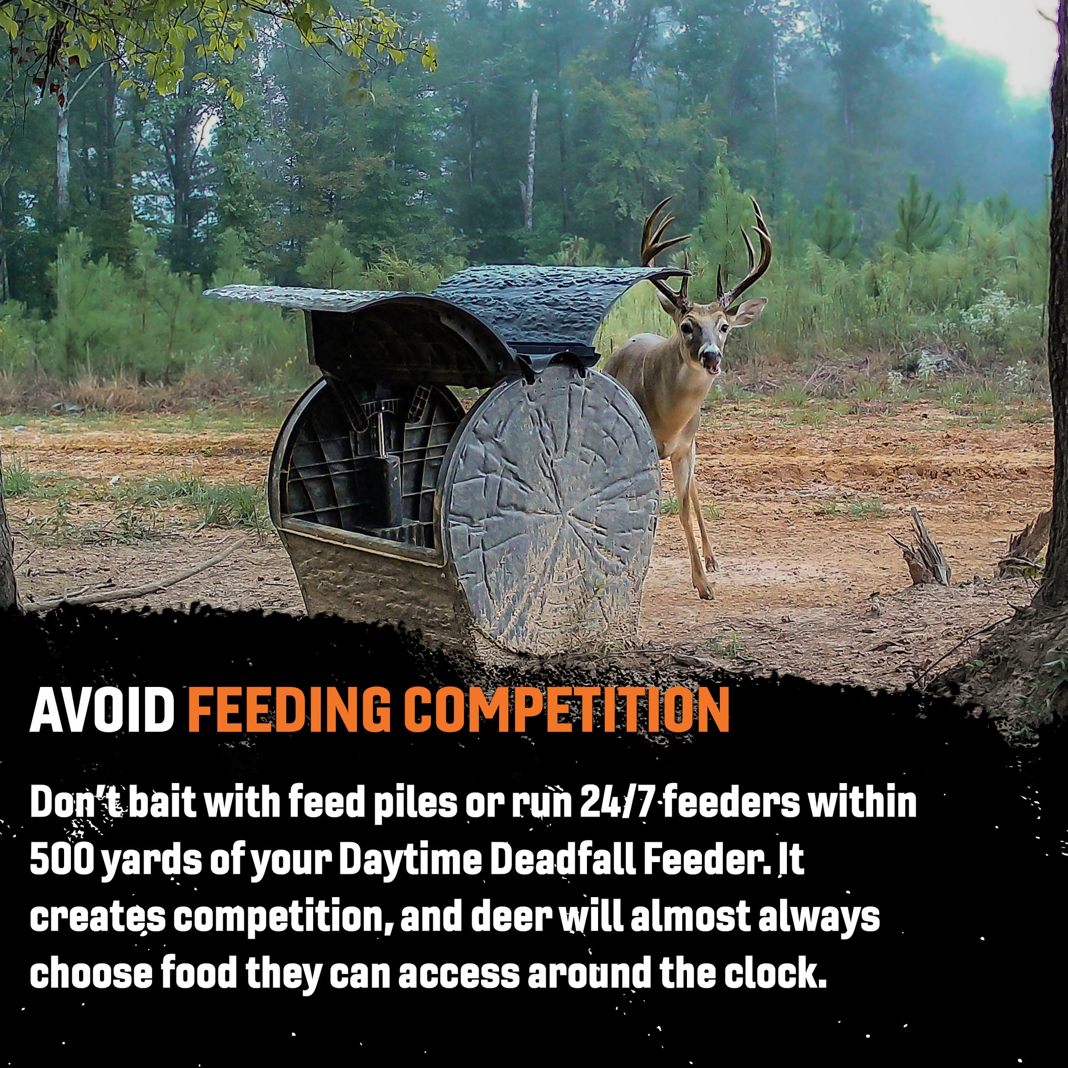 Daytime Deadfall Feeder | Timed Deer Feeder | Tectonic USA