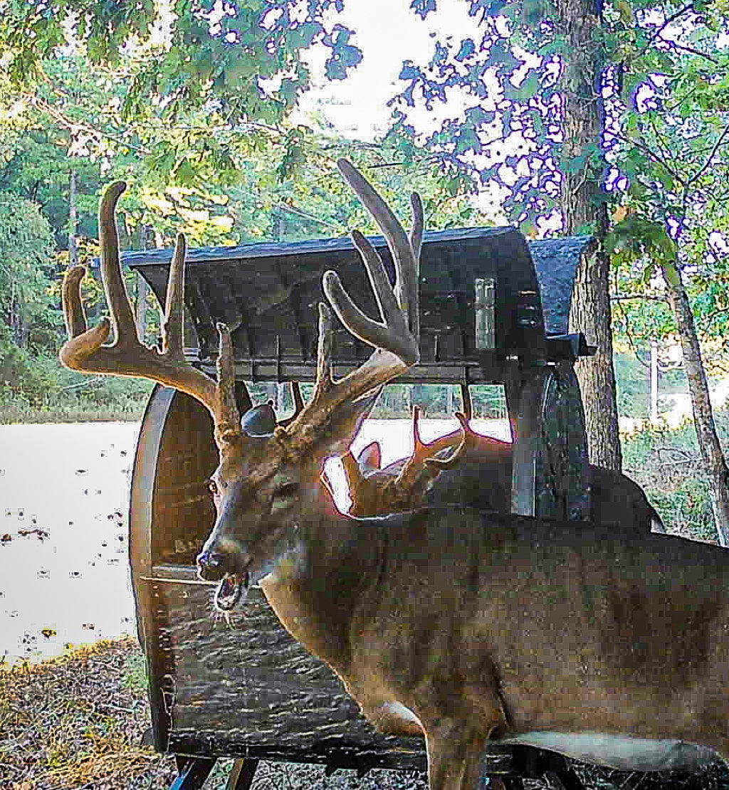 Daytime Deadfall Feeder | Timed Deer Feeder | Tectonic USA