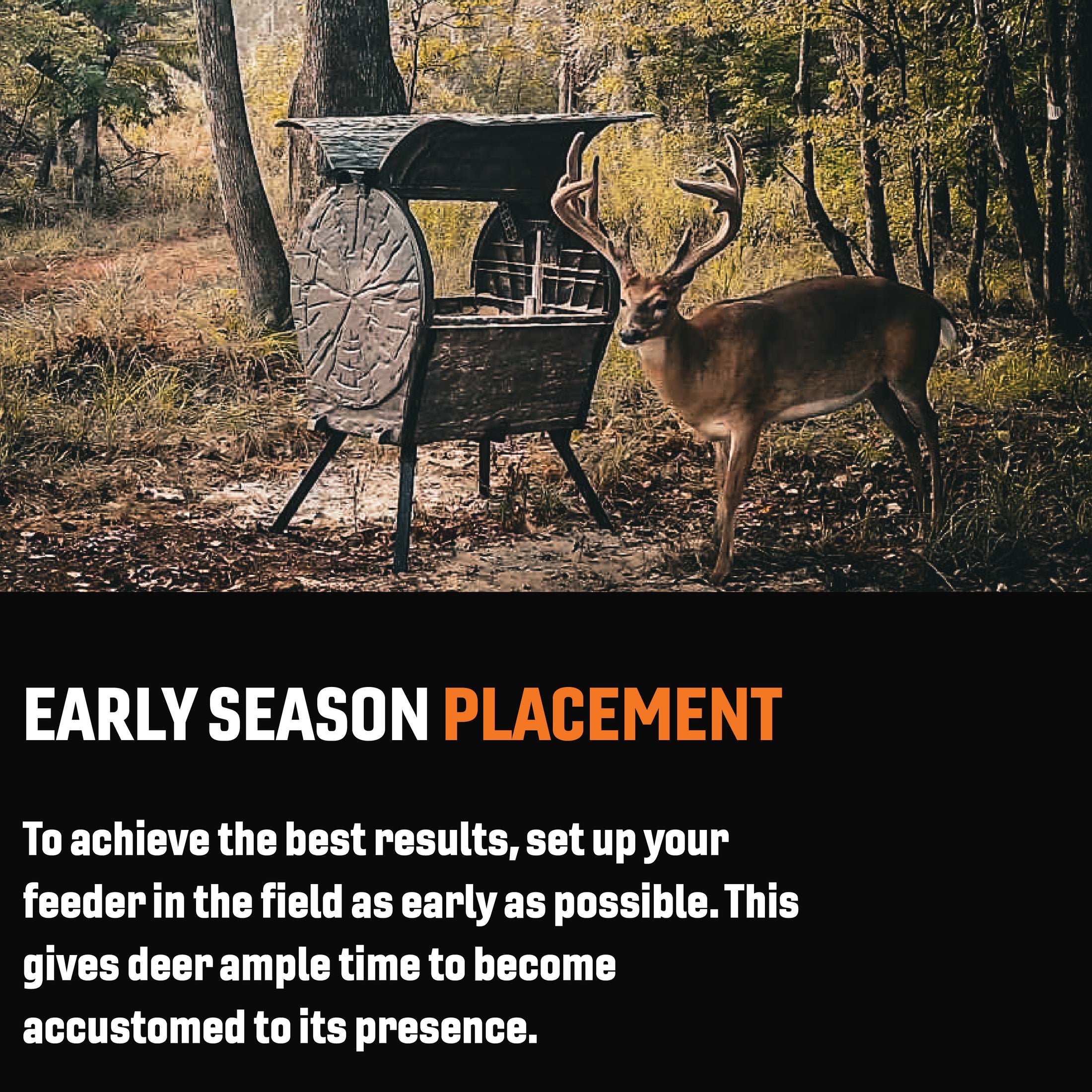 Daytime Deadfall Feeder | Timed Deer Feeder | Tectonic USA