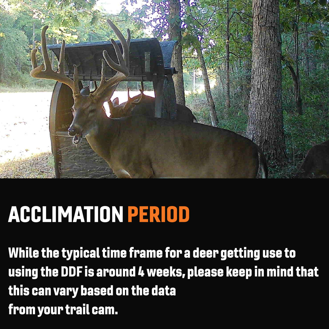 Daytime Deadfall Feeder | Timed Deer Feeder | Tectonic USA